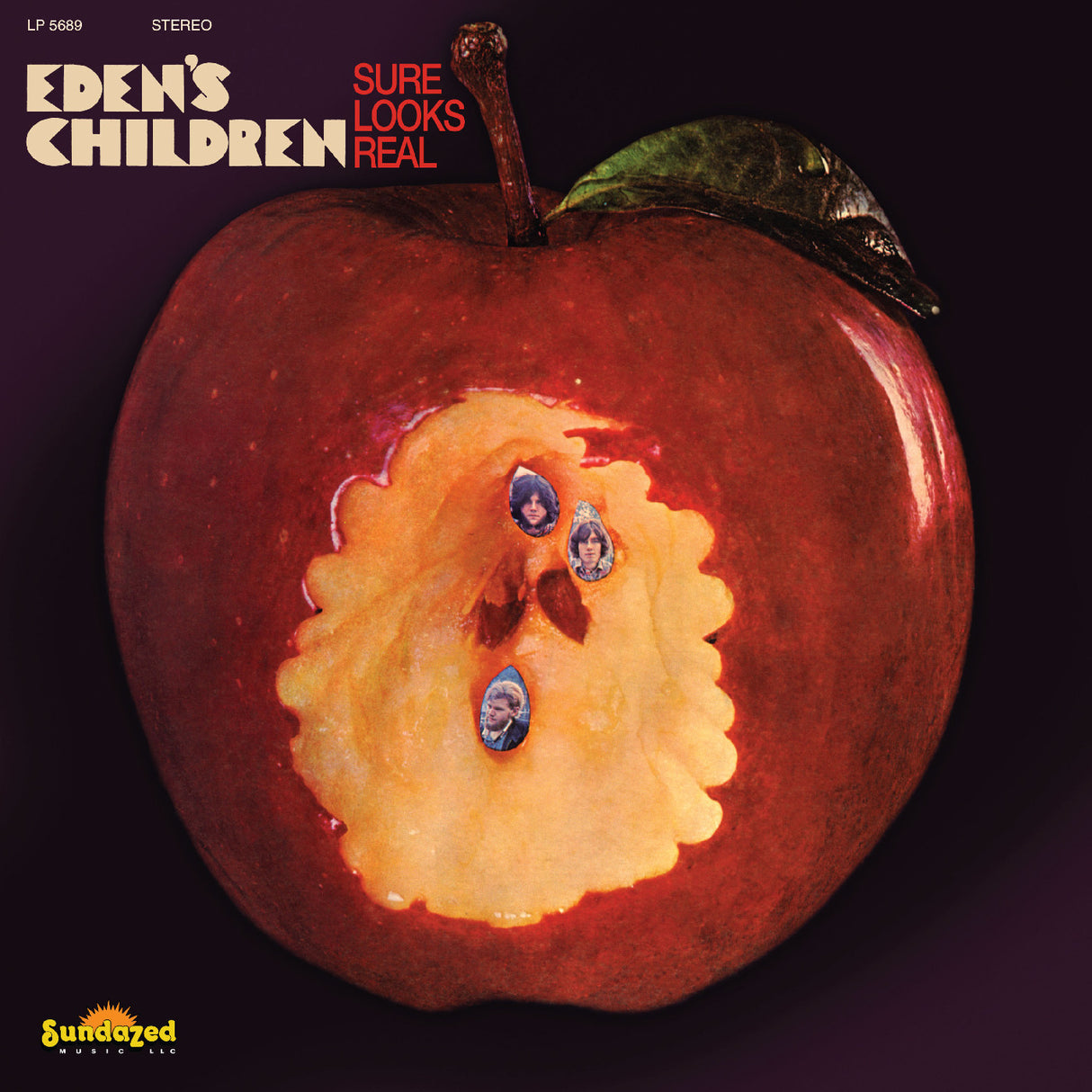 Eden's Children - Sure Looks Real LP (Maroon Vinyl) – Beat Street Records